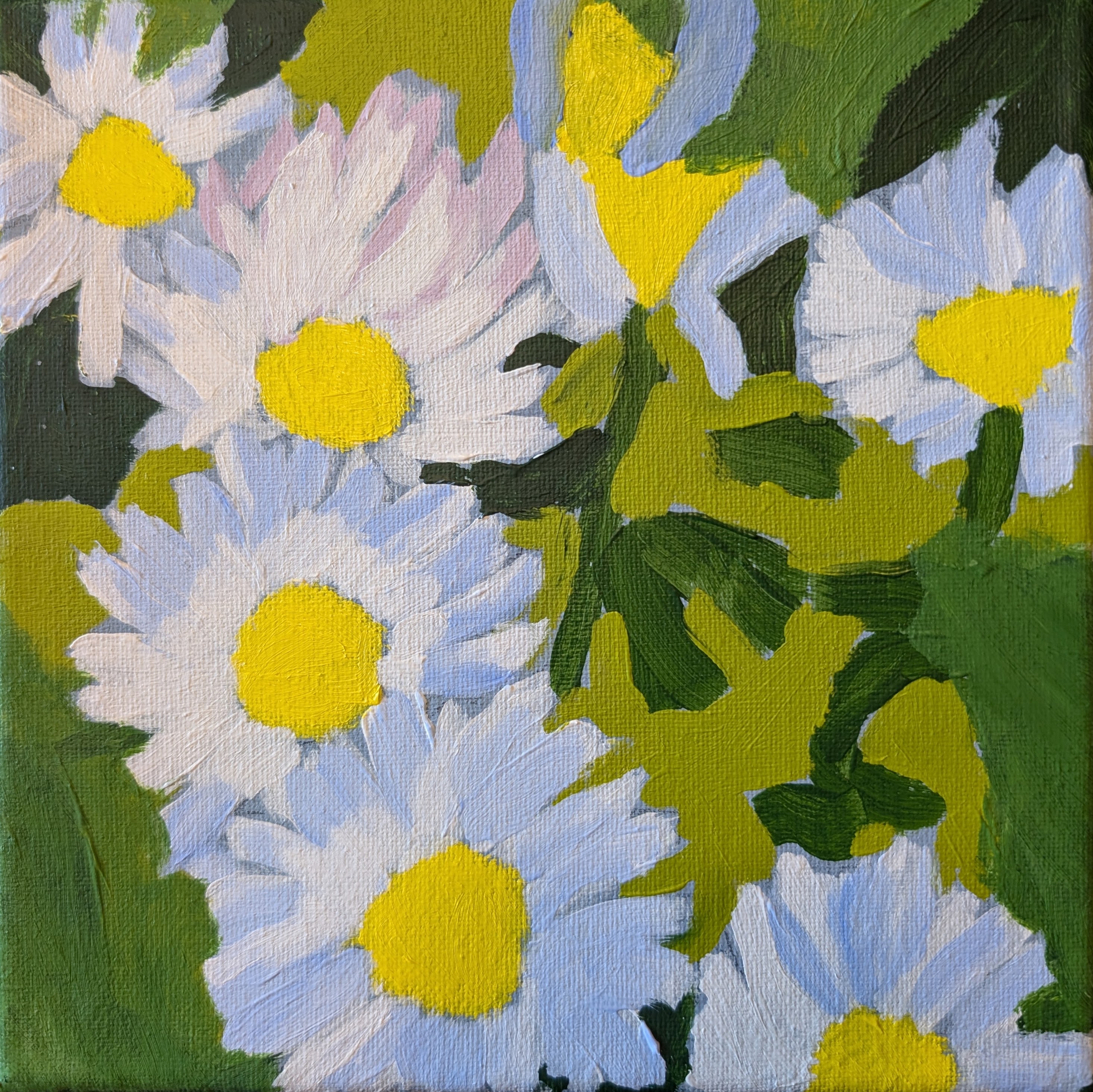 Happy National Daisy Day! – BetterLateThanNeverArt